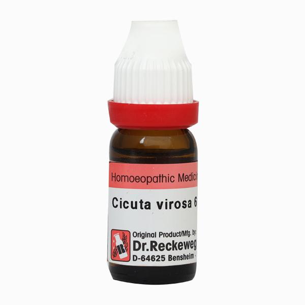 Buy Dr. Reckeweg Cicuta Virosa 6 Liquid 11 ml Online at Discounted ...