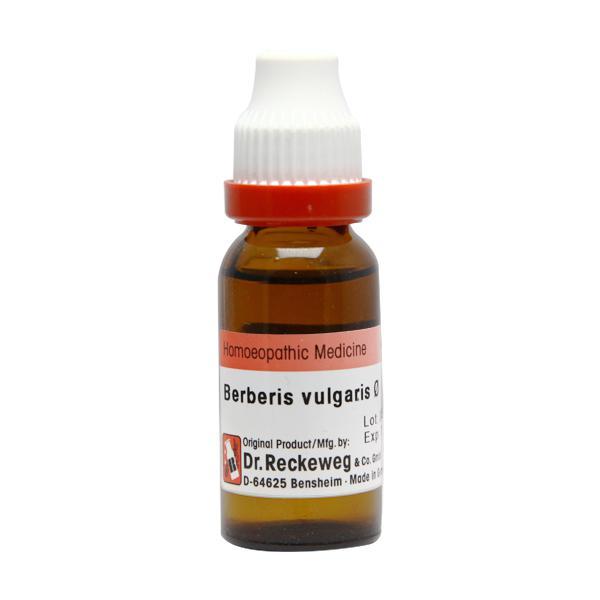 Buy Dr. Reckeweg Berberis Vulgaris 1X Q Liquid 20 ml Online at ...