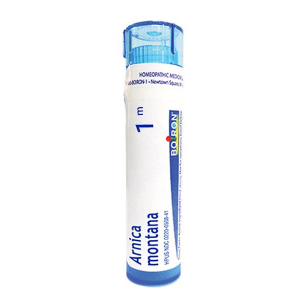 Buy Boiron Arnica Montana 1M Multi Dose PELLETS 4 GM Online at ...