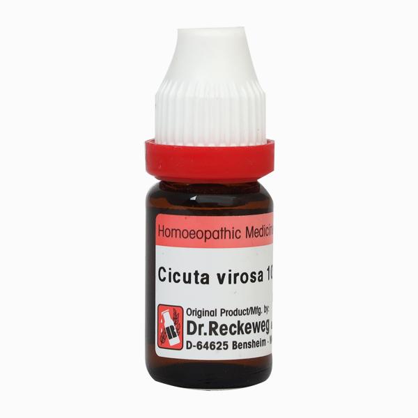 Buy Dr. Reckeweg Cicuta Virosa 1M Liquid 11 ml Online at Discounted ...
