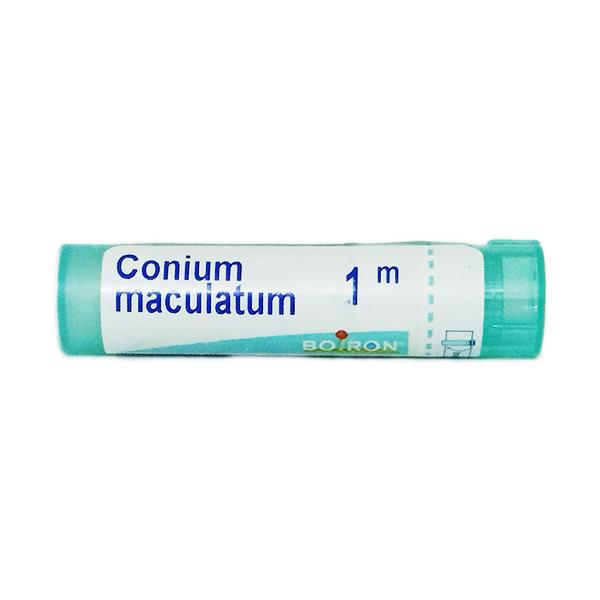 Buy Boiron Conium Maculatum 1M Multi Dose PELLETS 4 GM Online at ...