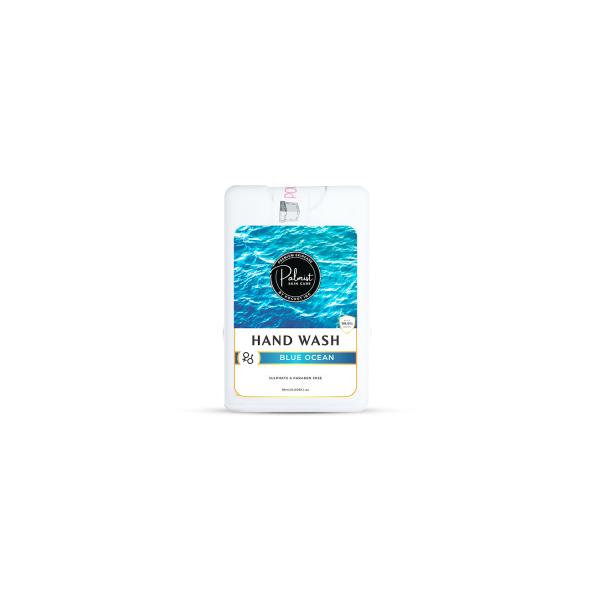Buy Palmist Skin Care Hand Wash Spray - Blue Ocean 18 ml Online at Best ...