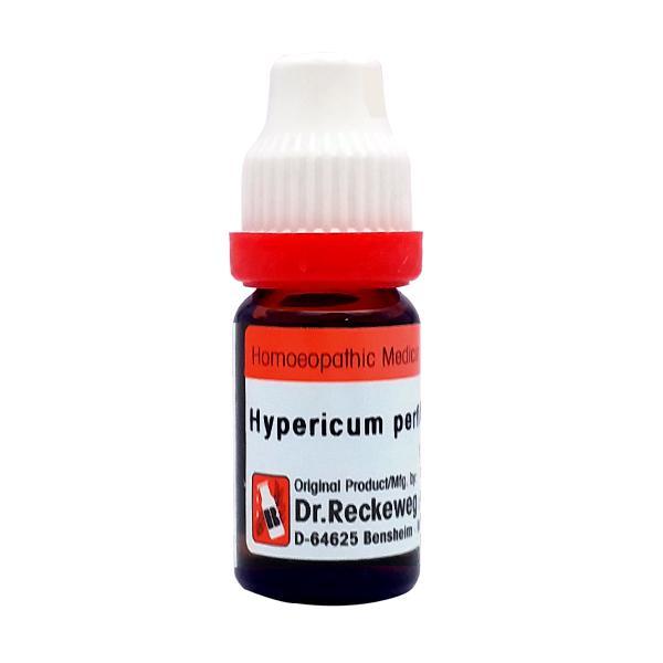 Buy Dr. Reckeweg Hypericum Perforatum 1M Liquid 11 ml Online at ...