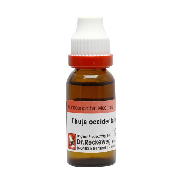 Buy Dr. Reckeweg Thuja Occidentalis Q Liquid 20 ml online at best price ...