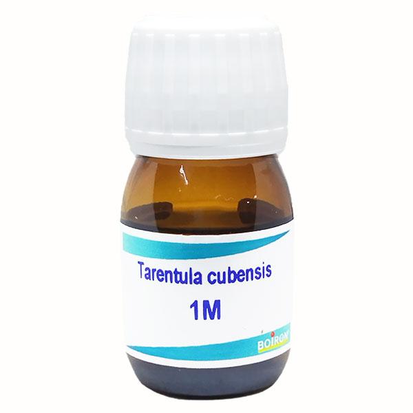 Buy Boiron Tarentula Cubensis 1M 20 ml Online at Best Price - Dilutions