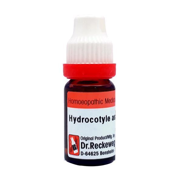Buy Dr. Reckeweg Hydrocotyle Asiatica 30 Liquid 11 ml Online at ...