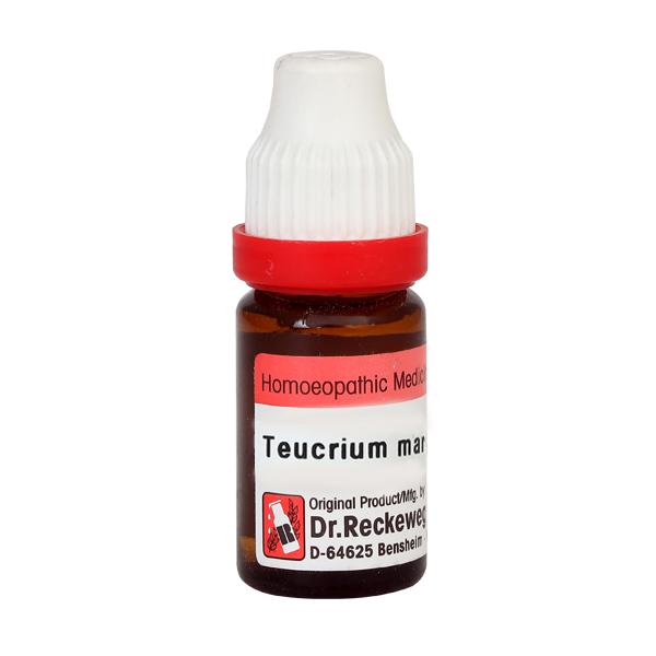 Buy Dr. Reckeweg Teucrium Marum Verum 6 Liquid 11 ml Online at ...