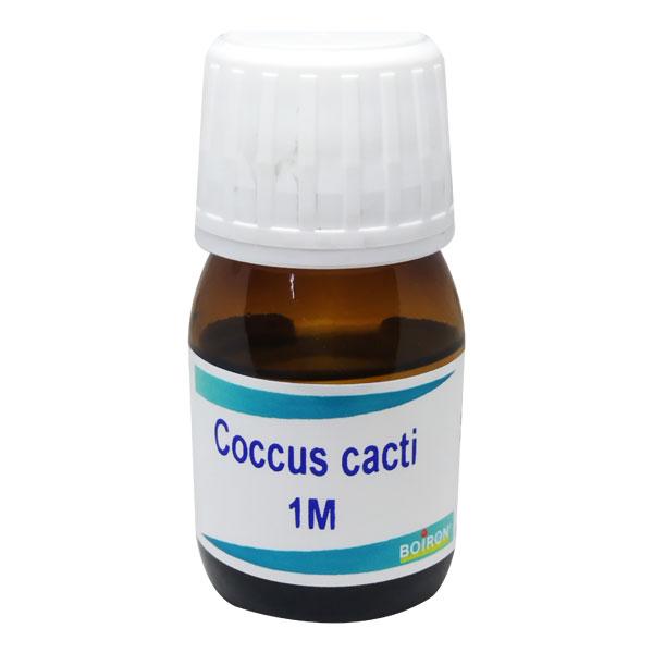 Boiron Coccus Cacti 1M 20 ml Online at Best Price - Dilutions