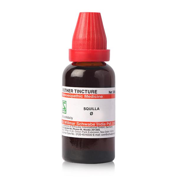 Buy Dr.Willmar Schwabe Squilla Ø Liquid 30 ml Online at Discounted ...