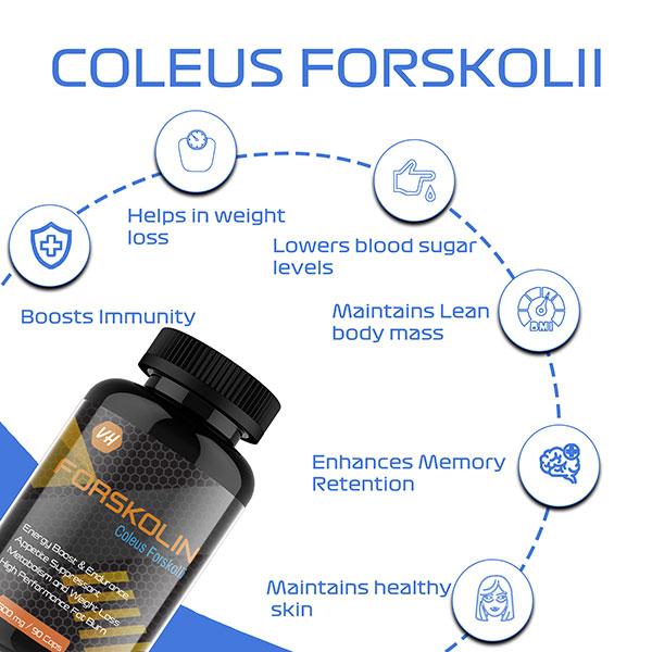forskolin supplement side effects